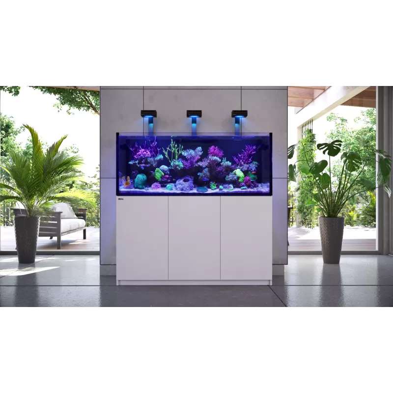 Red Sea Reefer 250 System G2+ White kaufen | Coralandfishstore.nl