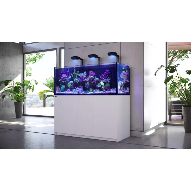 Red Sea Reefer XL 300 G2+ Deluxe Weiß (Inkl. Reefled 90) l ...